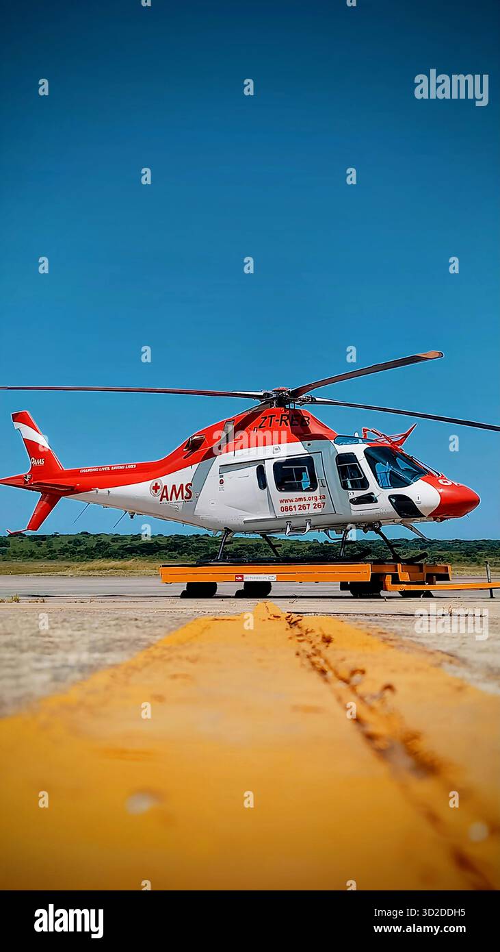 Koala ambulance hi-res stock photography and images - Alamy