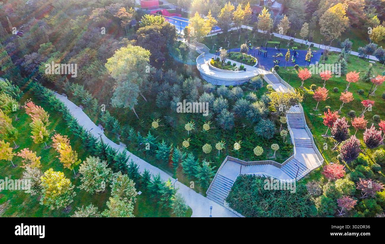 sTUNNING aerial view on Mziuri park: autumn leaf color on Small TREES ...