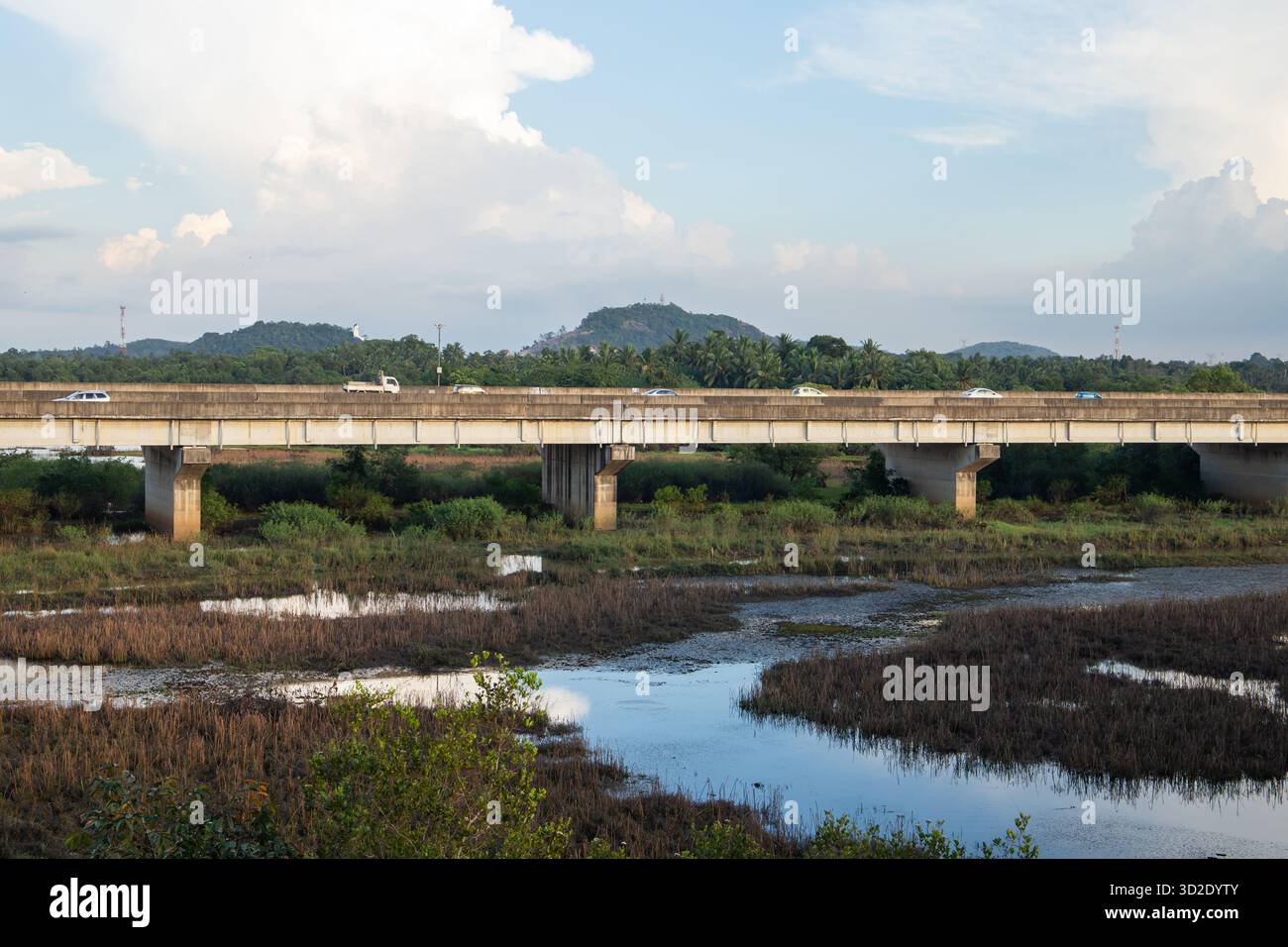 Concrete highway bridge spans a marshy river with passing cars. Distant ...