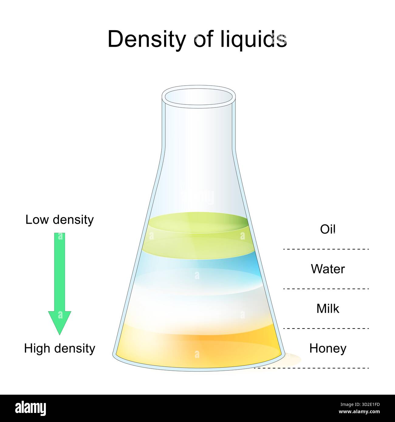 Density of liquids. Experiment with Milk, Honey, Water, and Oil in ...