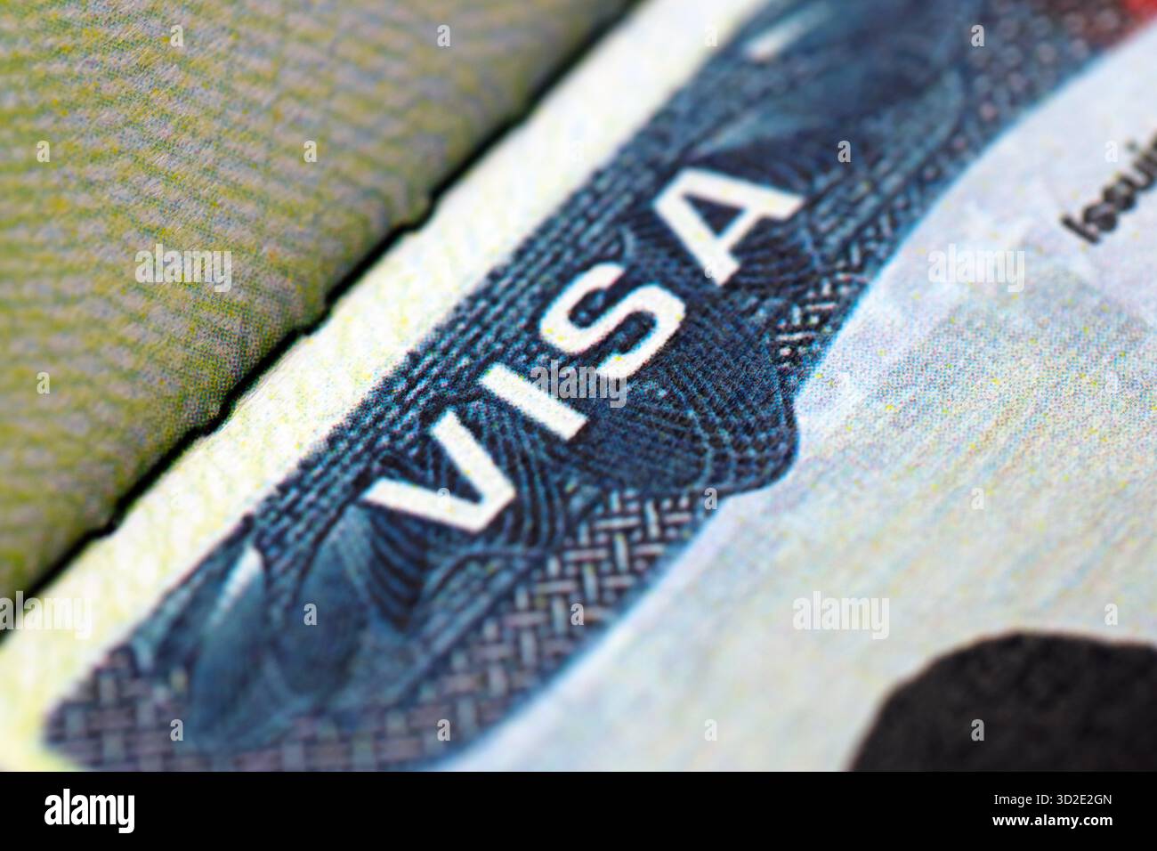 American visa which is a permit to travel to, enter and remain in the ...