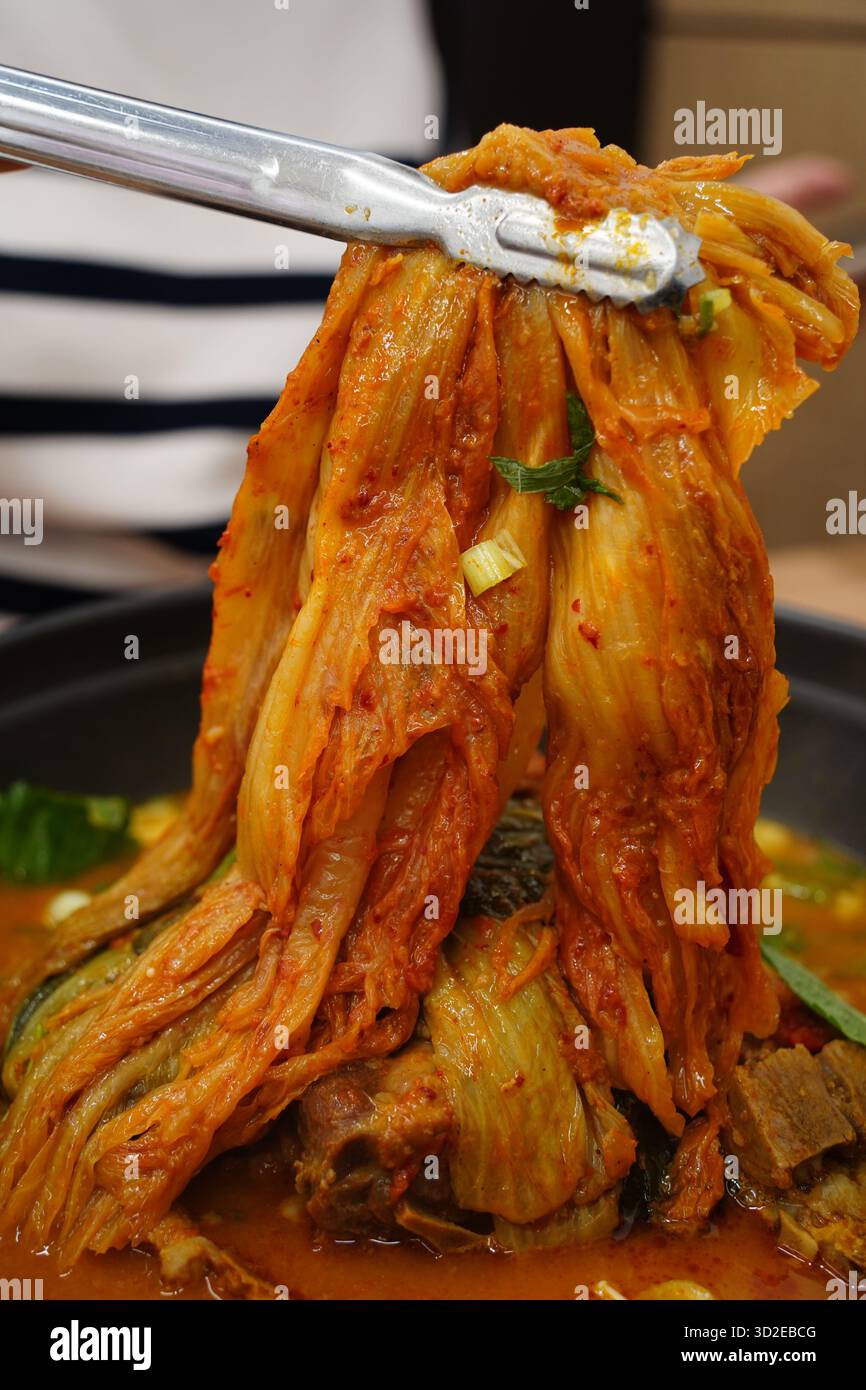 Tongs Lifting Spicy Korean Aged Kimchi from a Hot Pot Stock Photo - Alamy