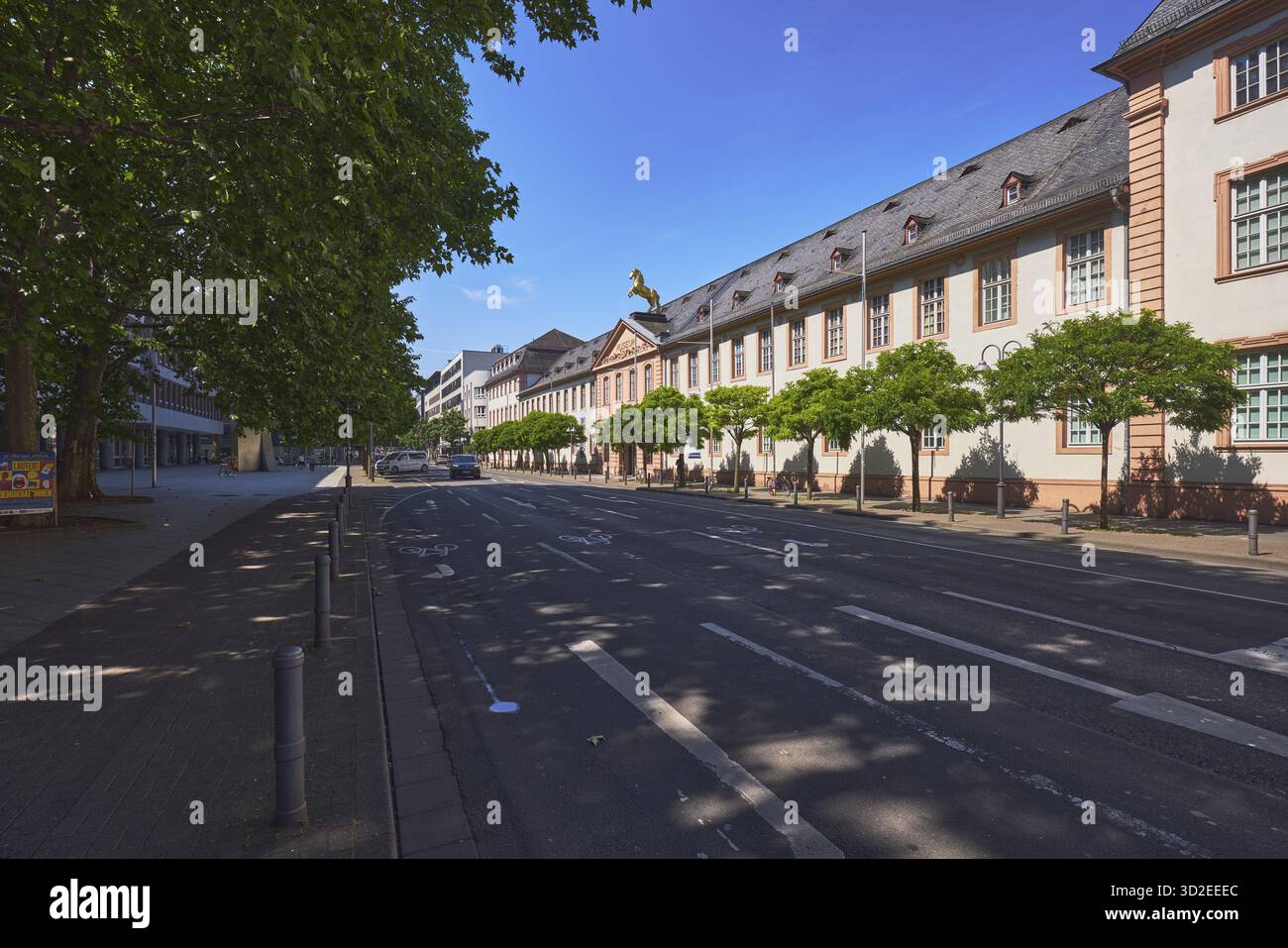 Mainz State Museum, Art Museum, Cultural History Museum, Golden-Ross ...