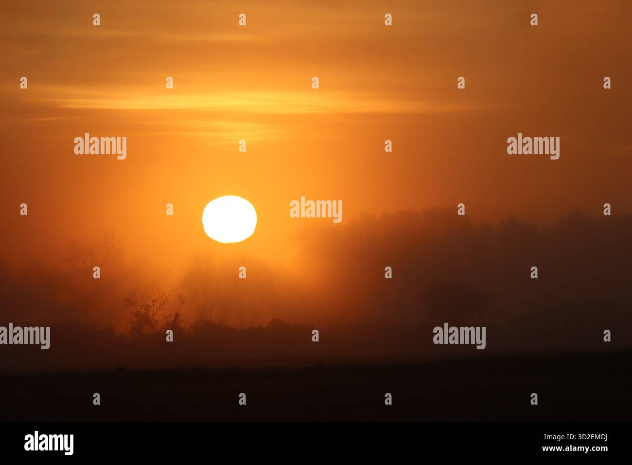 Sun shines with a shimmering Edge Stock Photo - Alamy