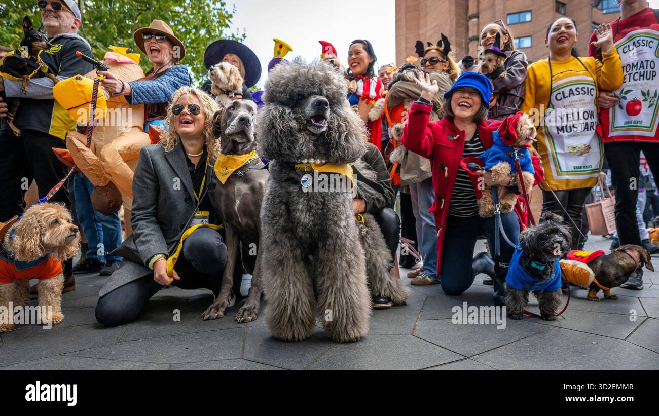 London, UK. 1 November 2025. Costumed dogs and their owners take part ...