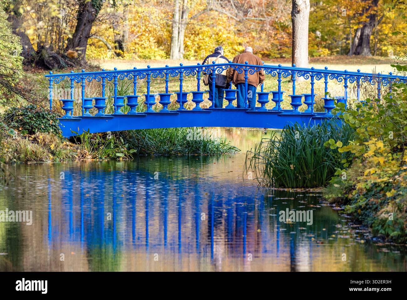 01 November 2025, Saxony, Bad Muskau: The Fuchsia Bridge (also known as ...