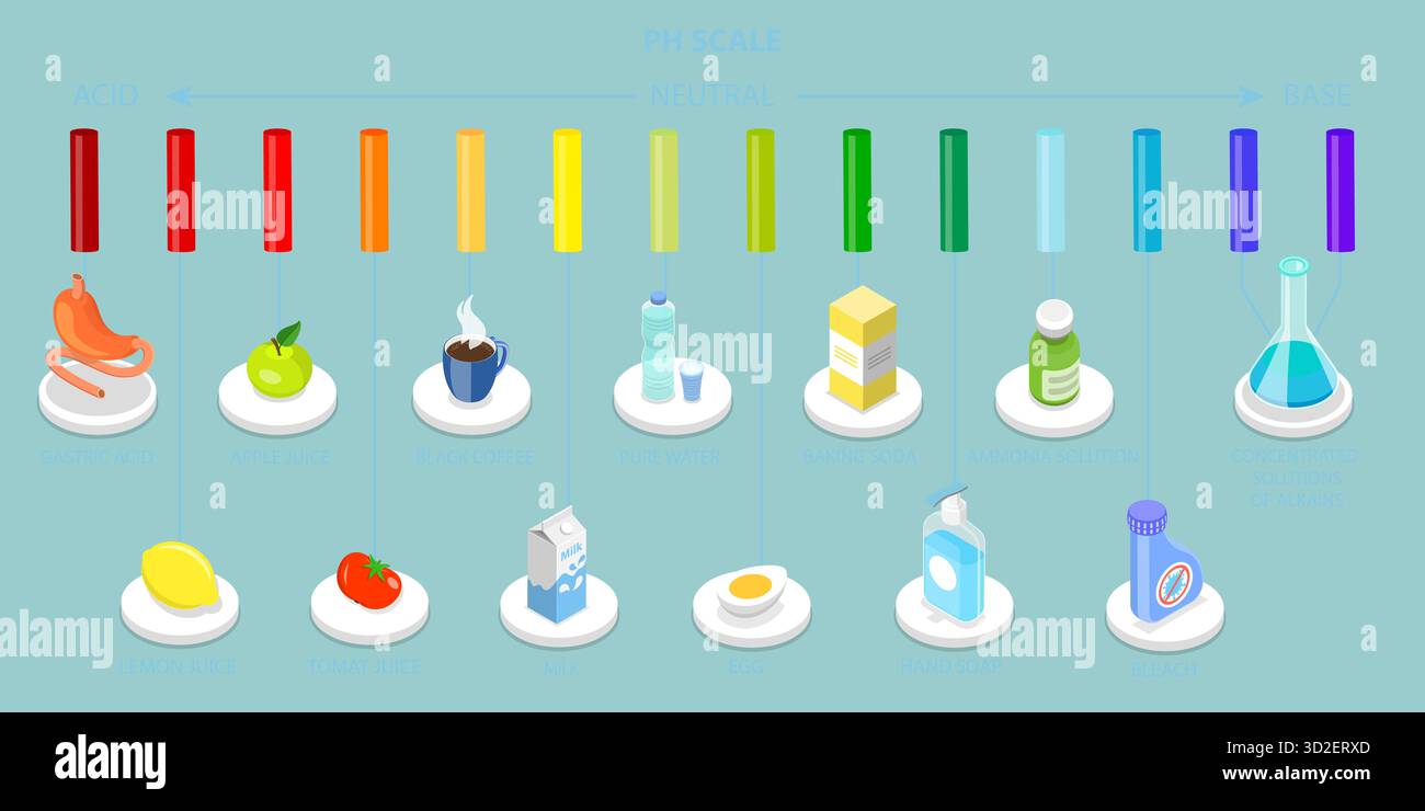 3D Isometric Flat Conceptual Illustration of PH Scale, Food Acidity ...