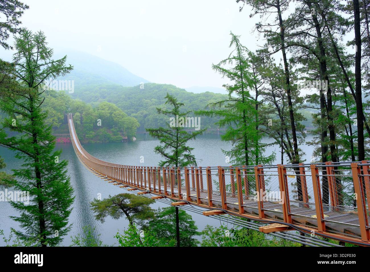 Suspension bridge over Majang Reservoir on a misty morning, South Korea ...