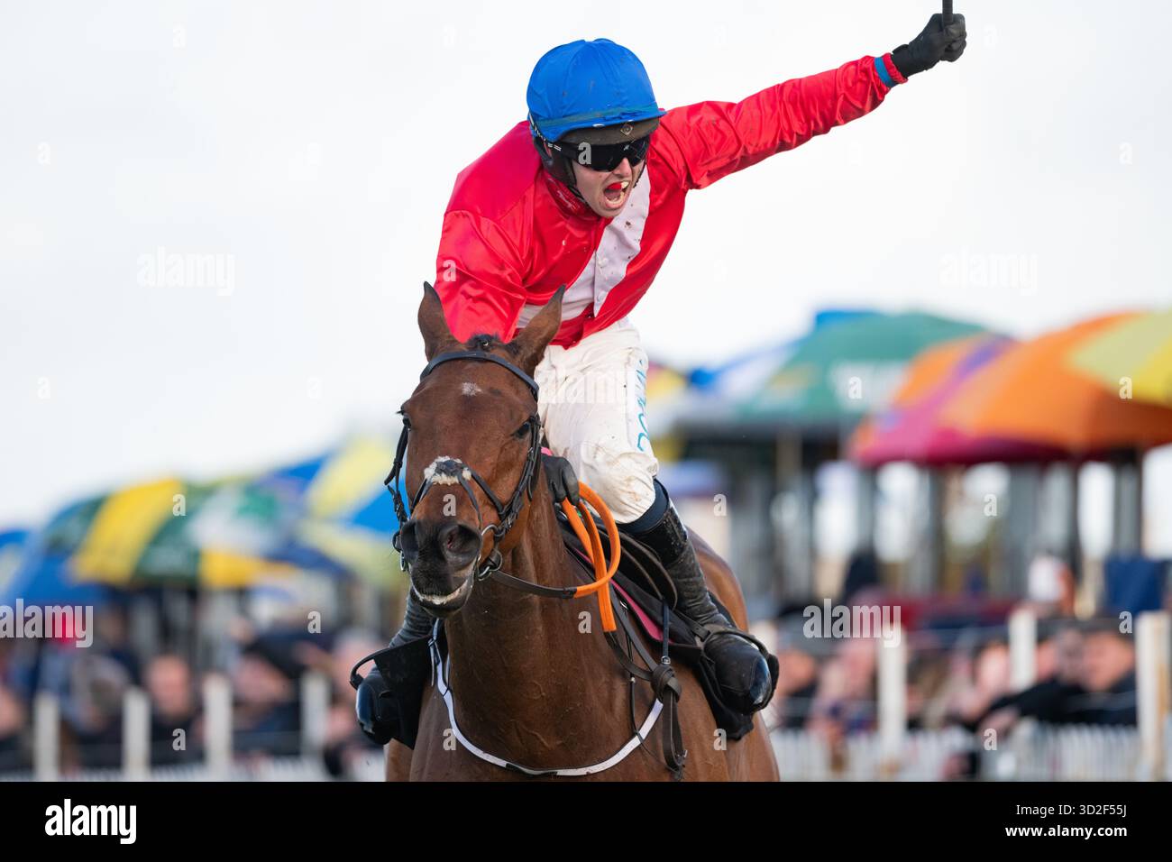 Envoi allen november 1st 2025 hi-res stock photography and images - Alamy