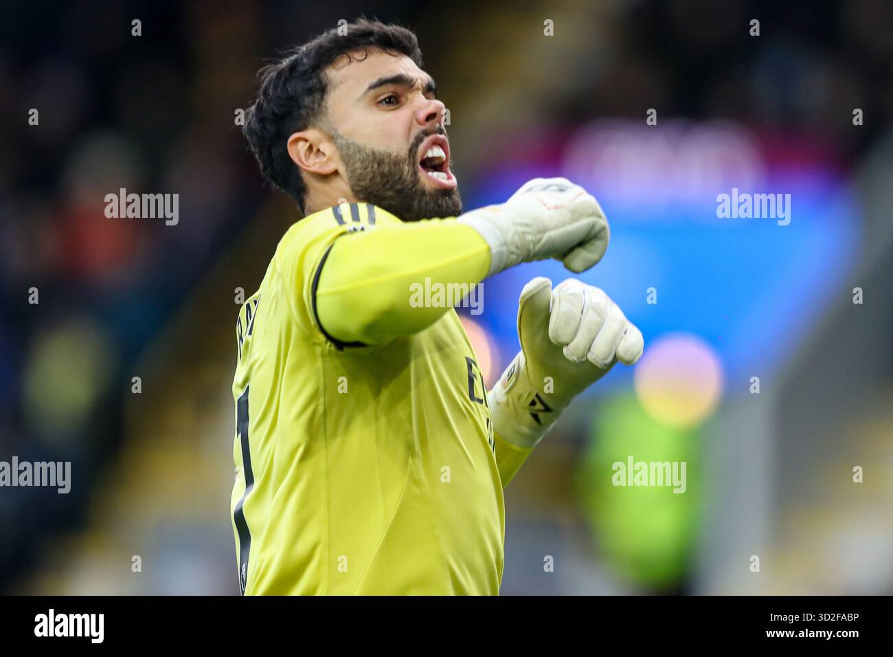 David Raya of Arsenal celebrates Declan Rice of Arsenal goal to make it ...