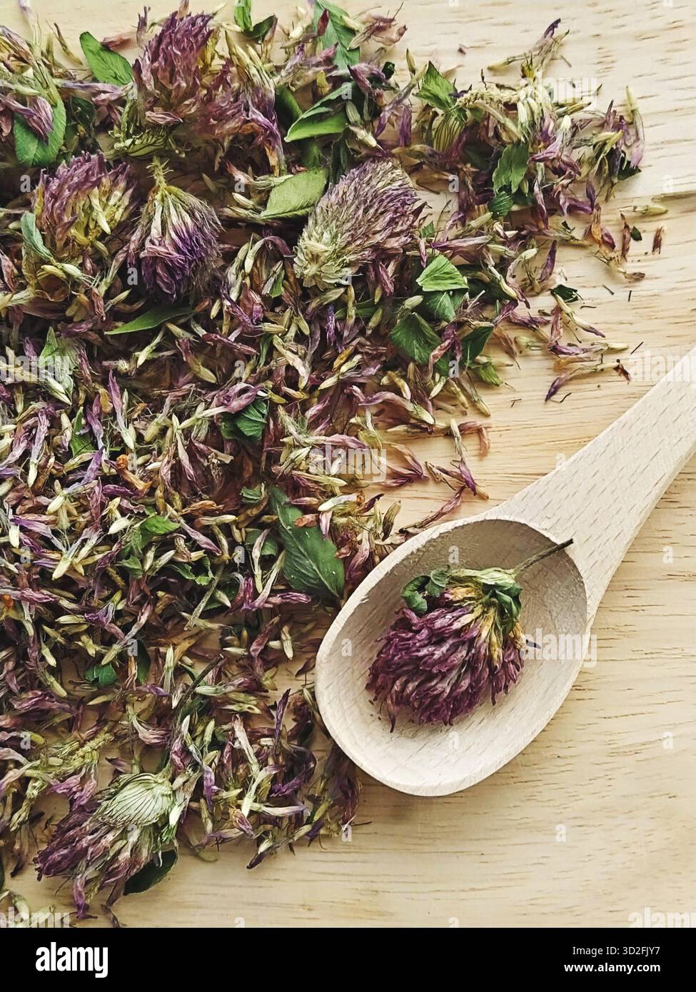 Dried red clover blossoms hi-res stock photography and images - Alamy