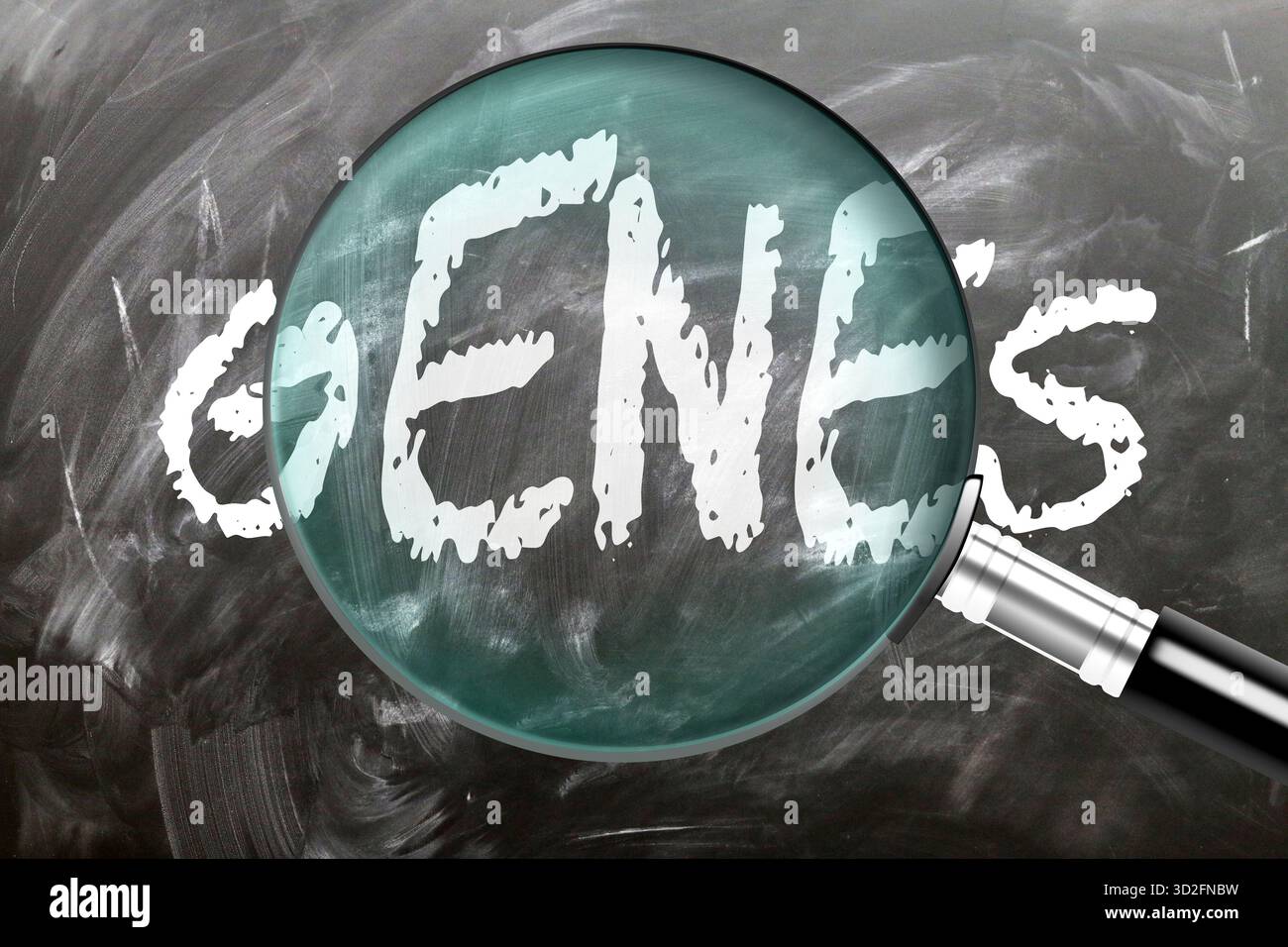 Genes and alleles hi-res stock photography and images - Alamy