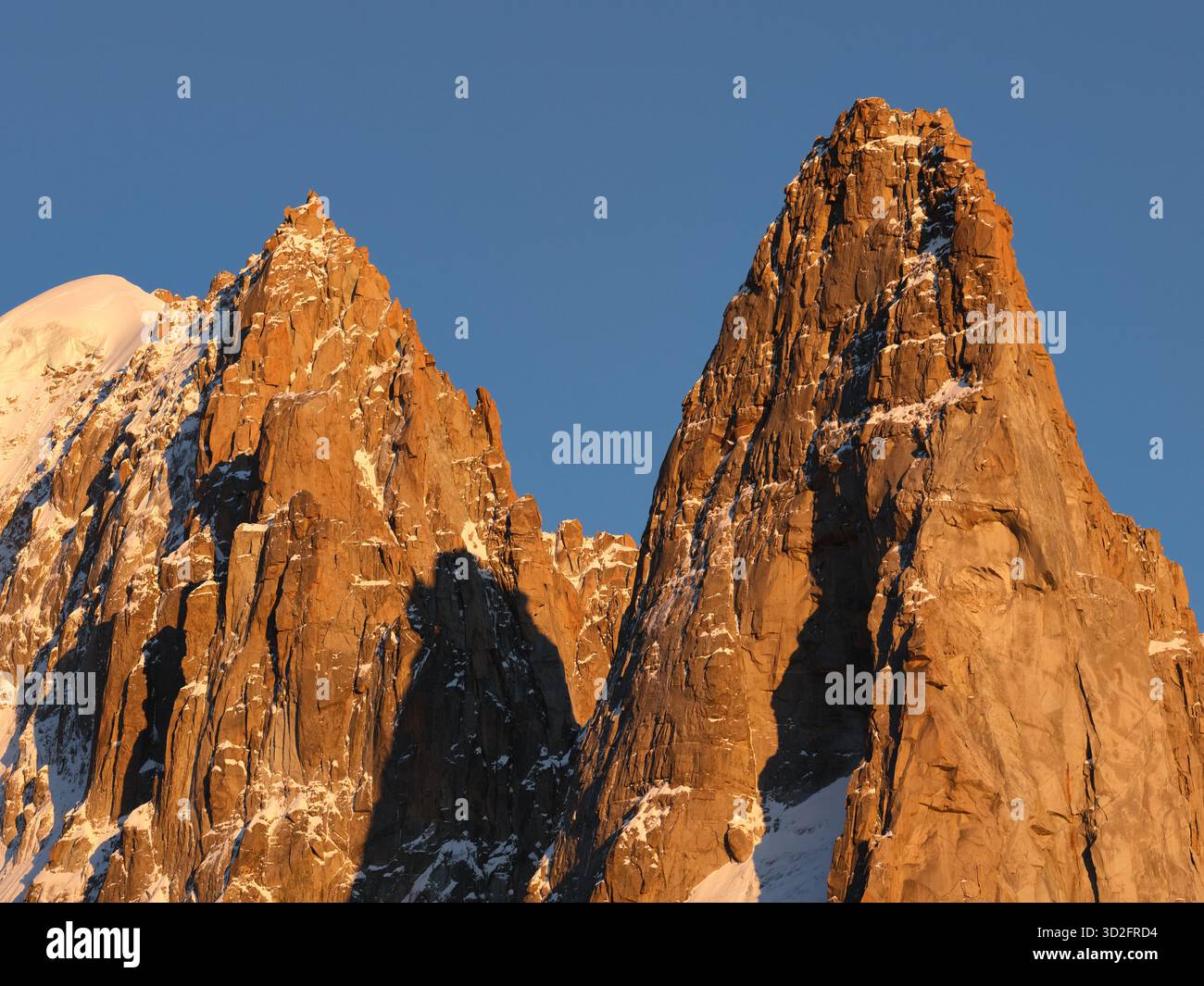 Above treeling hi-res stock photography and images - Alamy