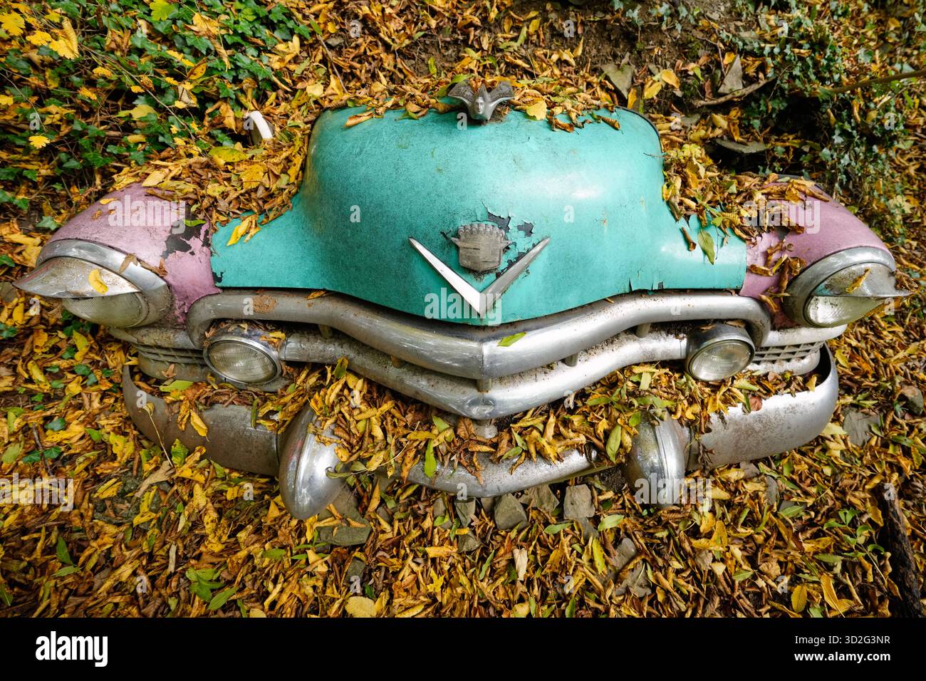 FILE - A vintage Cadillac is covered by autumn leaves inside a private ...