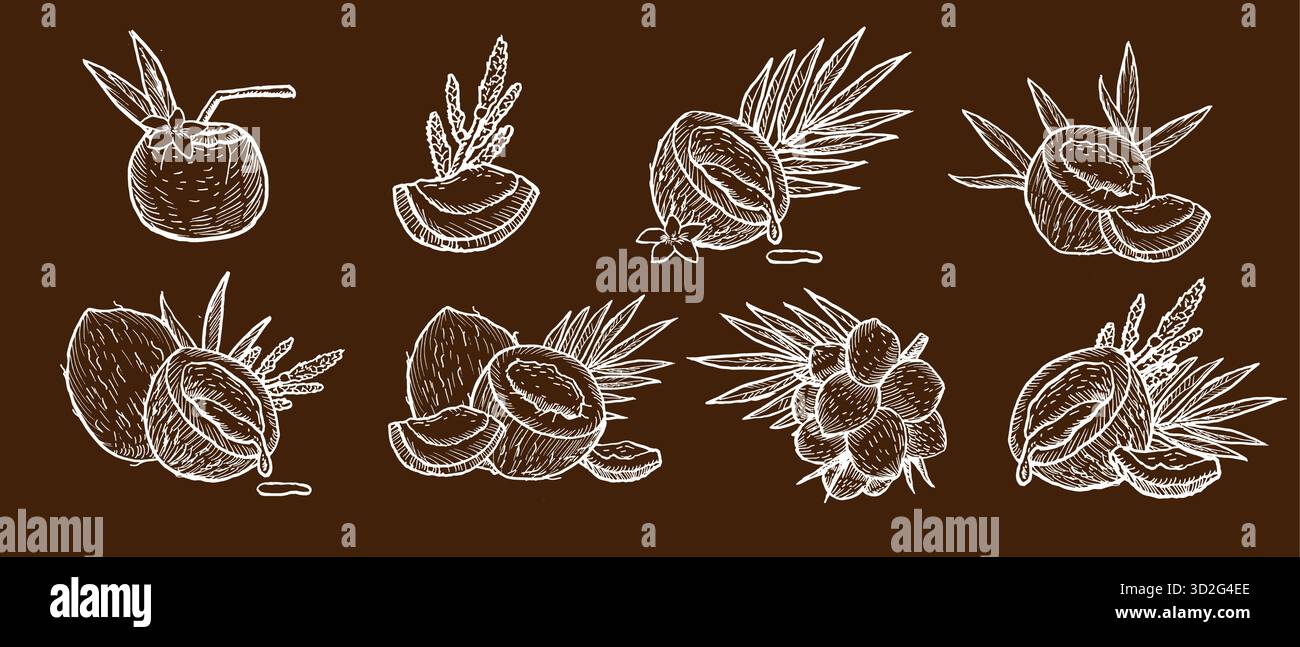 Outline white line art vector illustrations of coconuts, coco branches ...