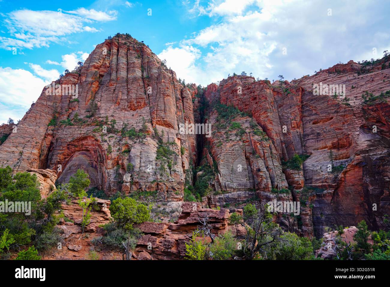 A wide canyon view reveals towering red-rock cliffs and rugged slopes ...