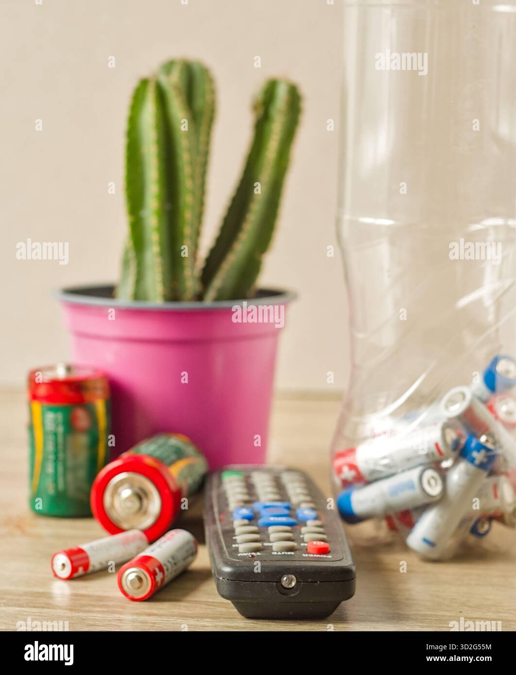 Eco Concept with Cactus and Electronic Waste – Sustainability Symbolism ...