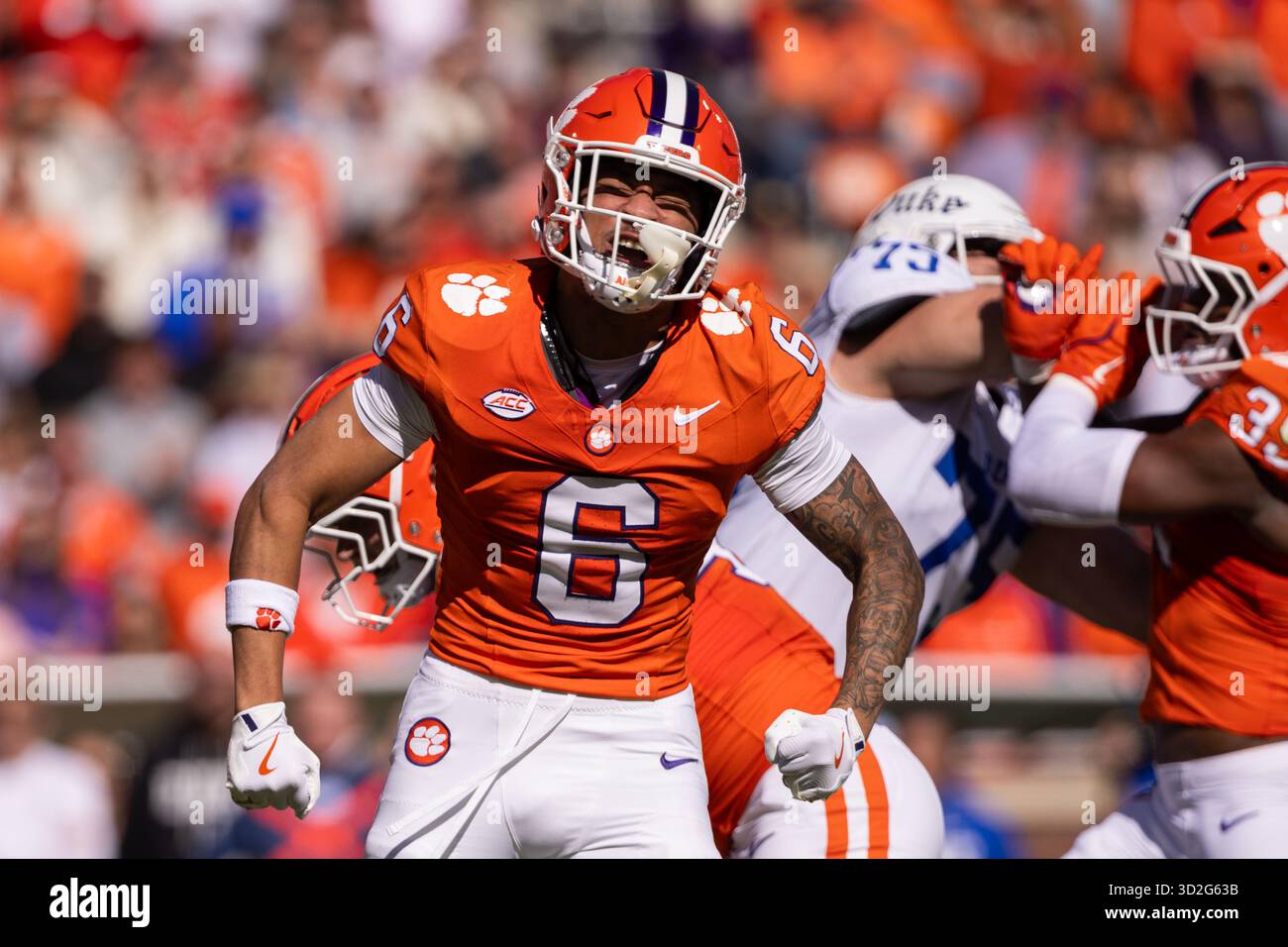 Clemson safety Ricardo Jones (6) celebrates a sack during the first ...