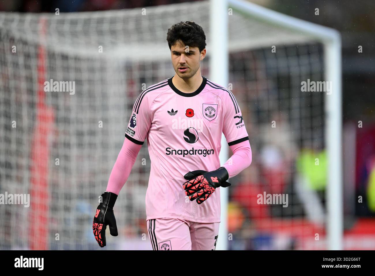 Senne lammens 2025 hi-res stock photography and images - Alamy