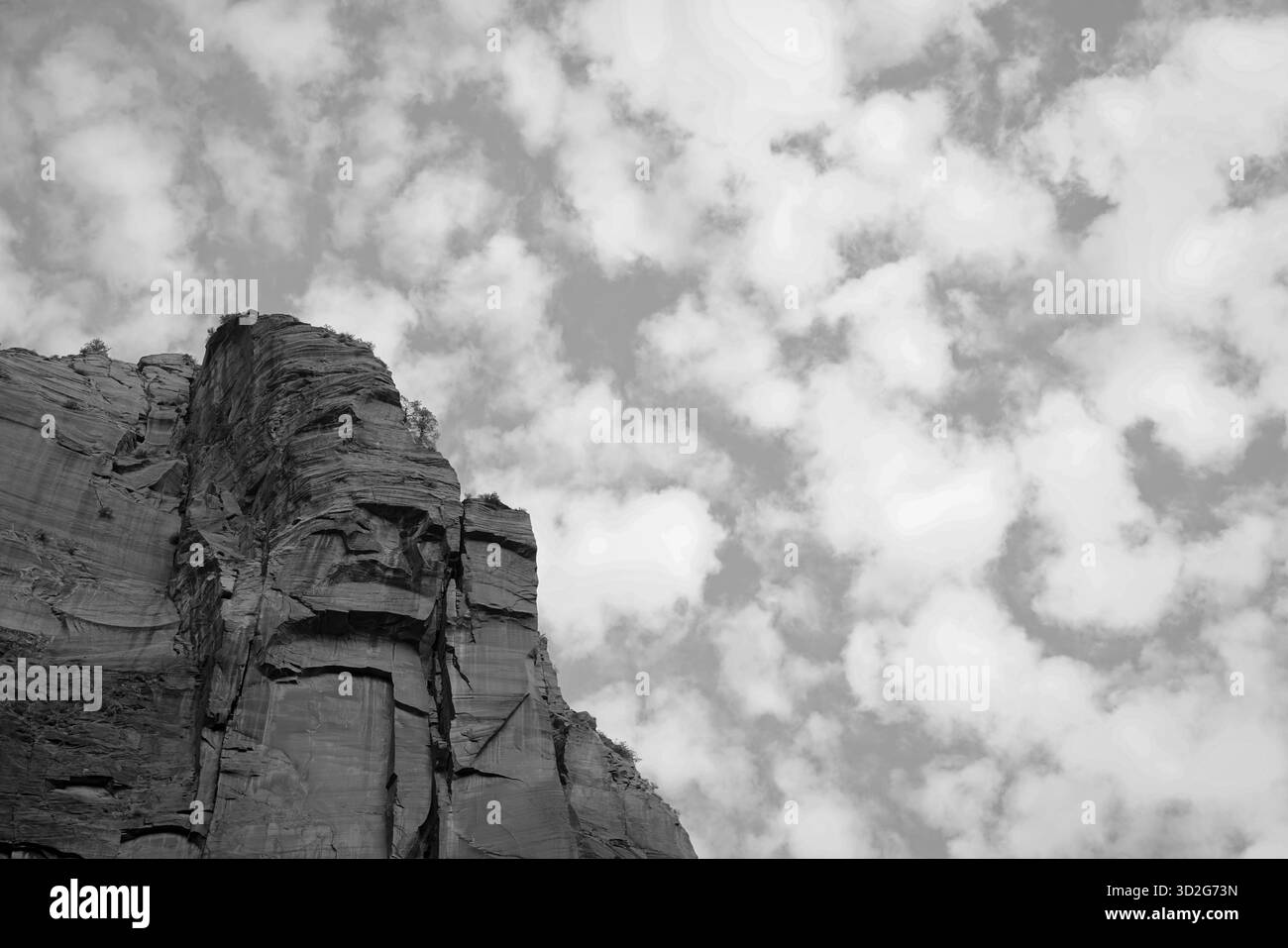 A black and white view of towering sandstone cliffs in Zion National ...