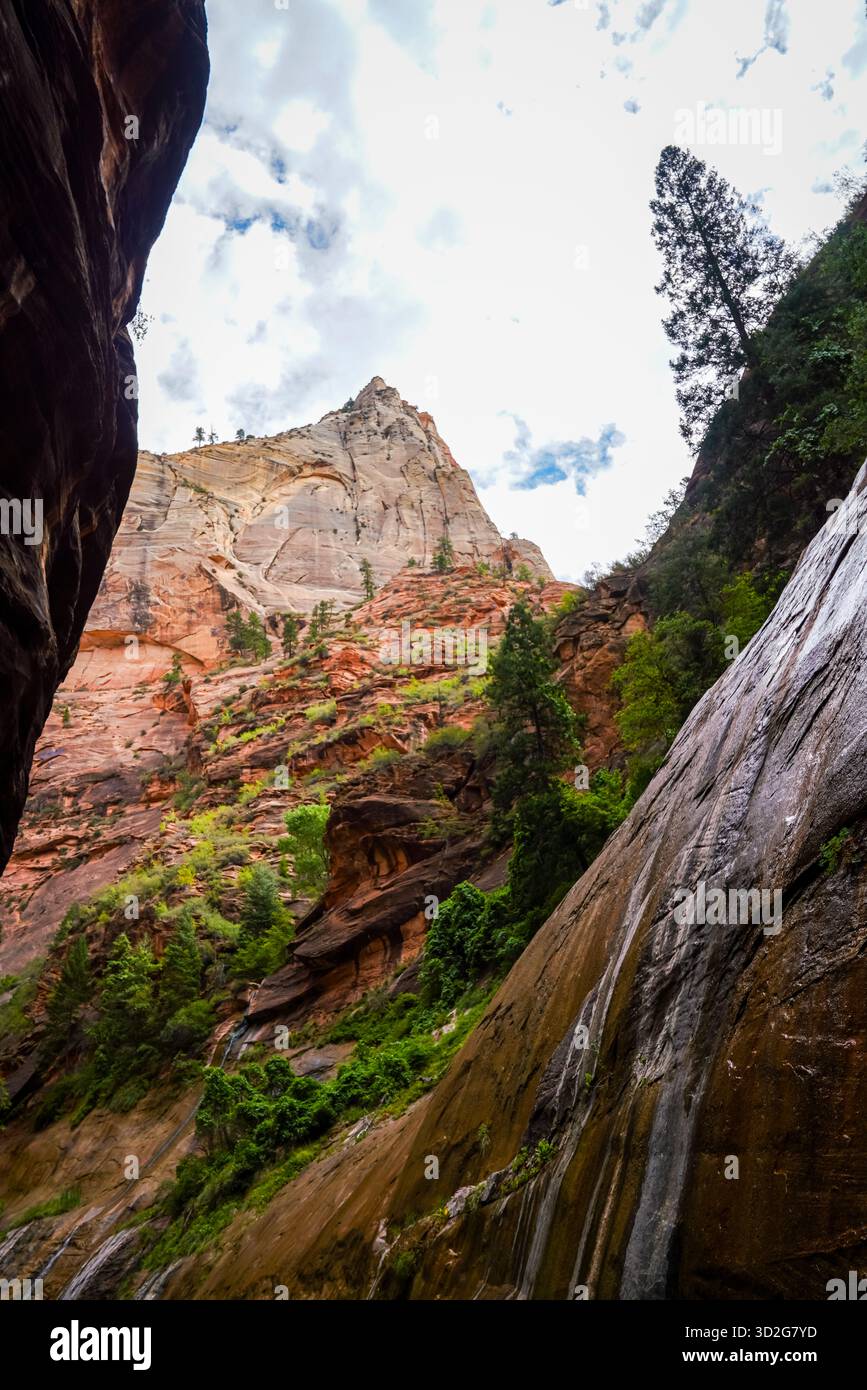 A towering sandstone peak rises above lush vegetation and a moist ...