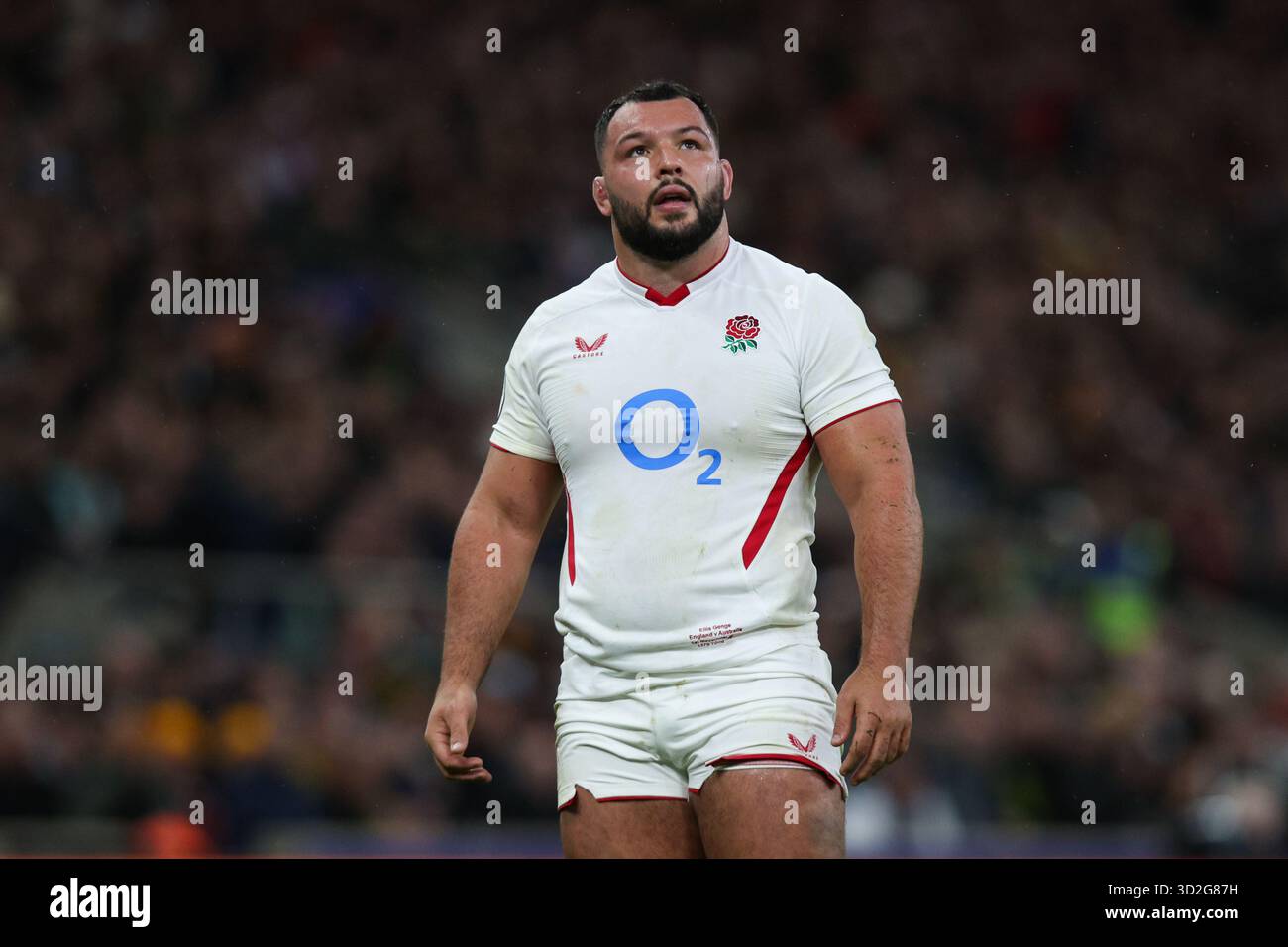 Quilter autumn nations series hi-res stock photography and images - Alamy