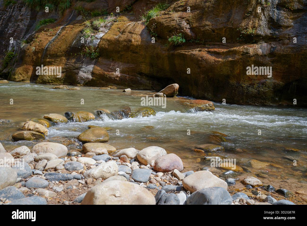 A shallow river flows over rounded stones at the base of warm canyon ...
