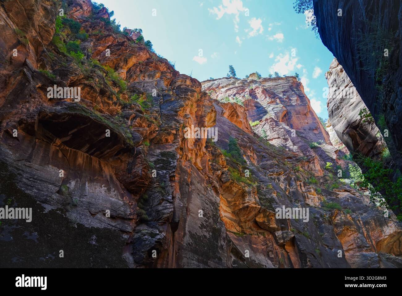 A sweeping canyon view in Zion National Park shows dramatic rock walls ...