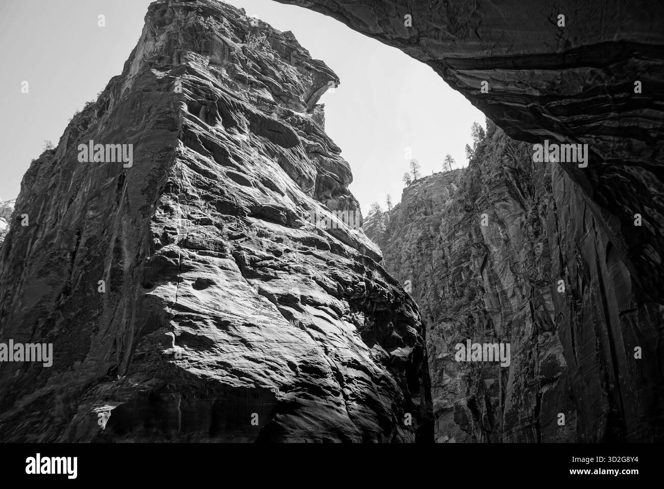 Stark white walls Black and White Stock Photos & Images - Alamy