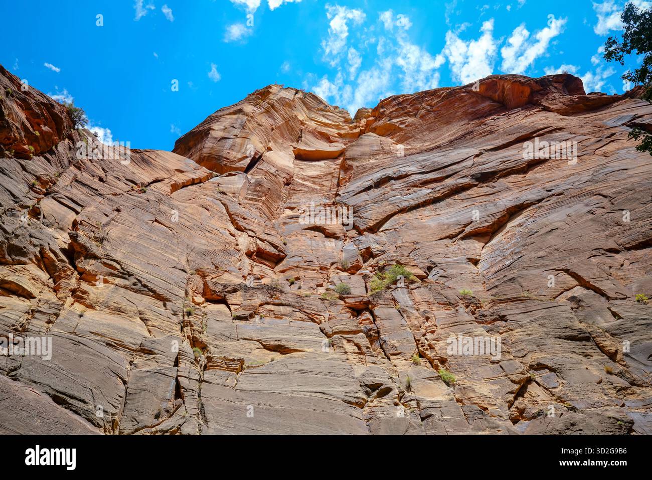 A vertical view of striated canyon rock reveals sweeping desert ...