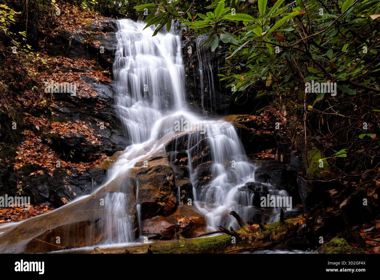 Log Hollow Falls - Pisgah National Forest, near Brevard, North Carolina ...