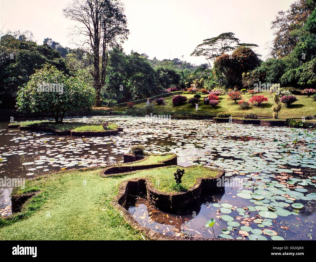 Royal Botanical Gardens of Peradeniya, Sri Lanka Stock Photo - Alamy