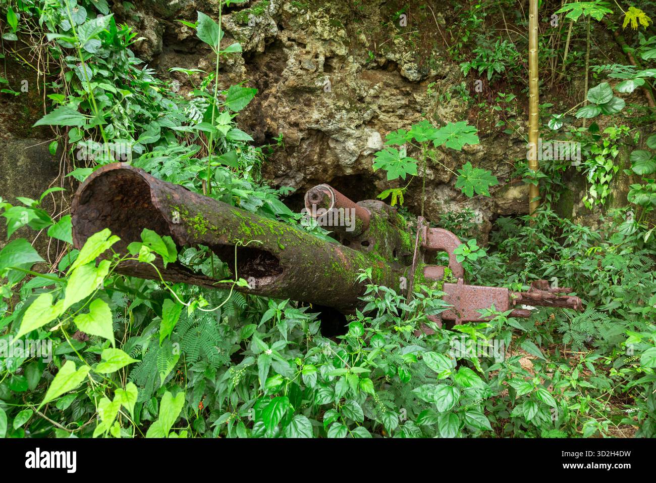 Dual guns hi-res stock photography and images - Alamy