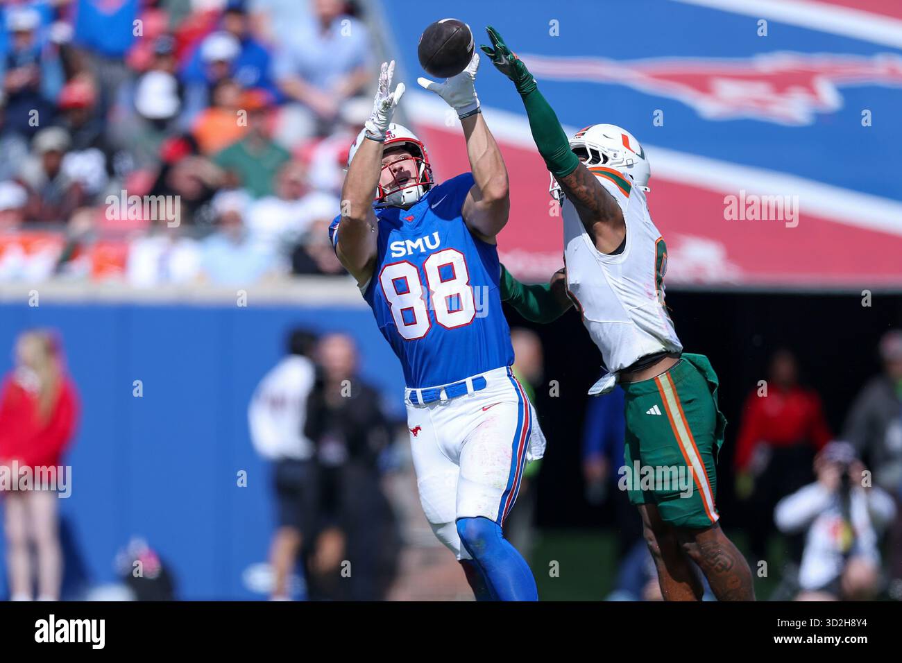 November 1, 2025: Southern Methodist Mustangs tight end Matthew Hibner ...