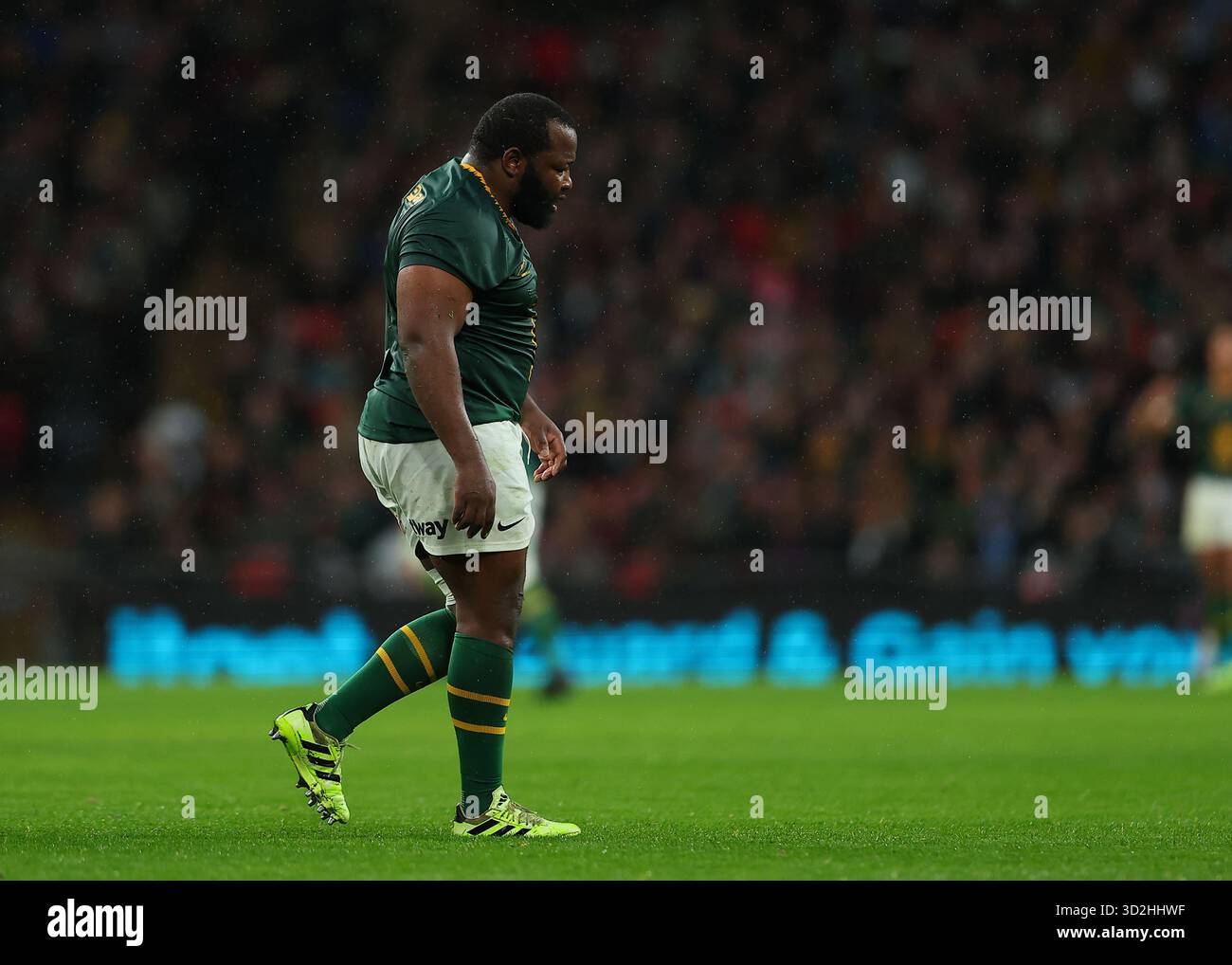 1st November 2025; Wembley, London, England; Quilter Nations Series ...