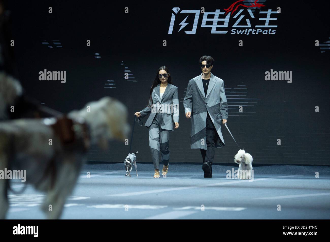A woman walks a poodle on the catwalk during Shanghai Pet Fashion Week ...