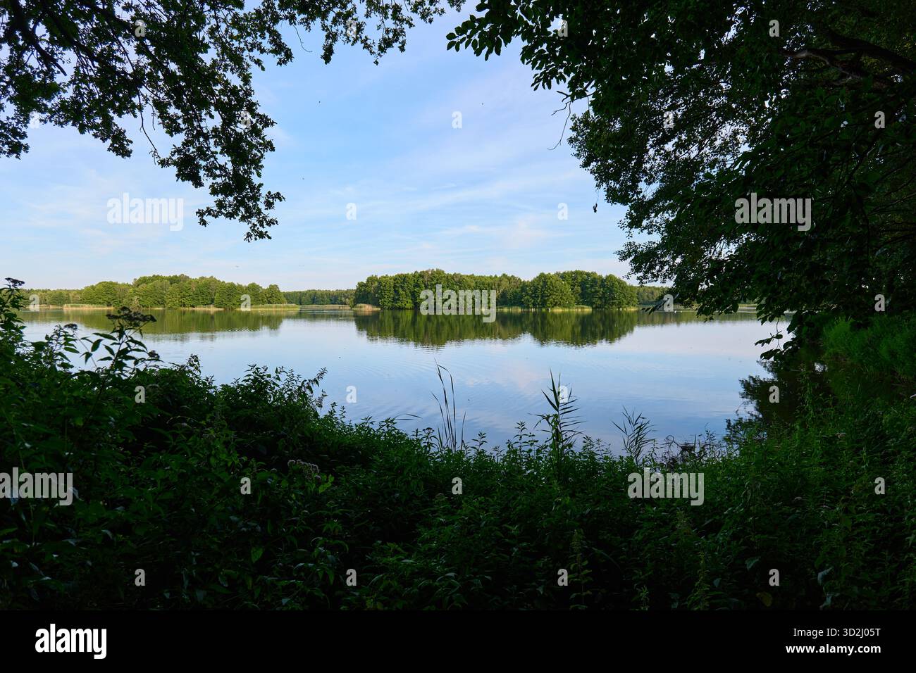 Joachimowka, Poland: View from a green frame over one of the large fish ...