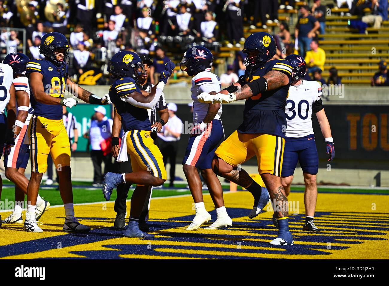 BERKELEY, CA - NOVEMBER 01: California Golden Bears running back ...