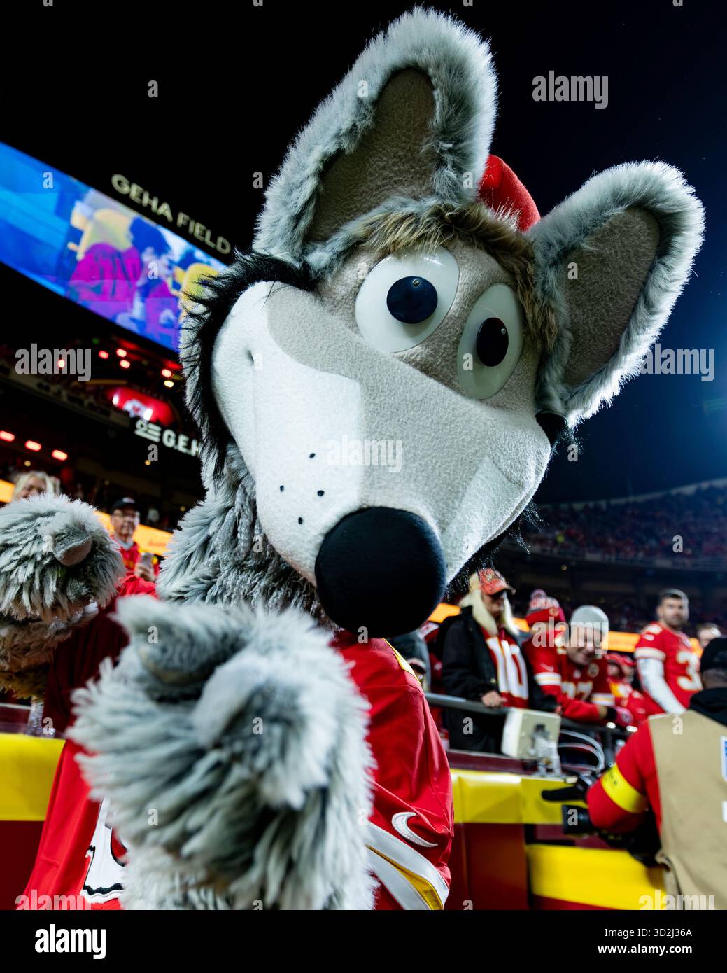 Kansas City, MO. USA; Kansas City Chiefs mascot K.C. Wolf on the ...