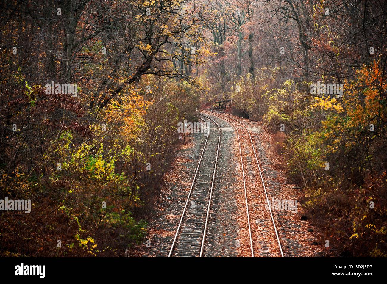Abandoned rockaway beach branch of the long island rail road hi-res ...