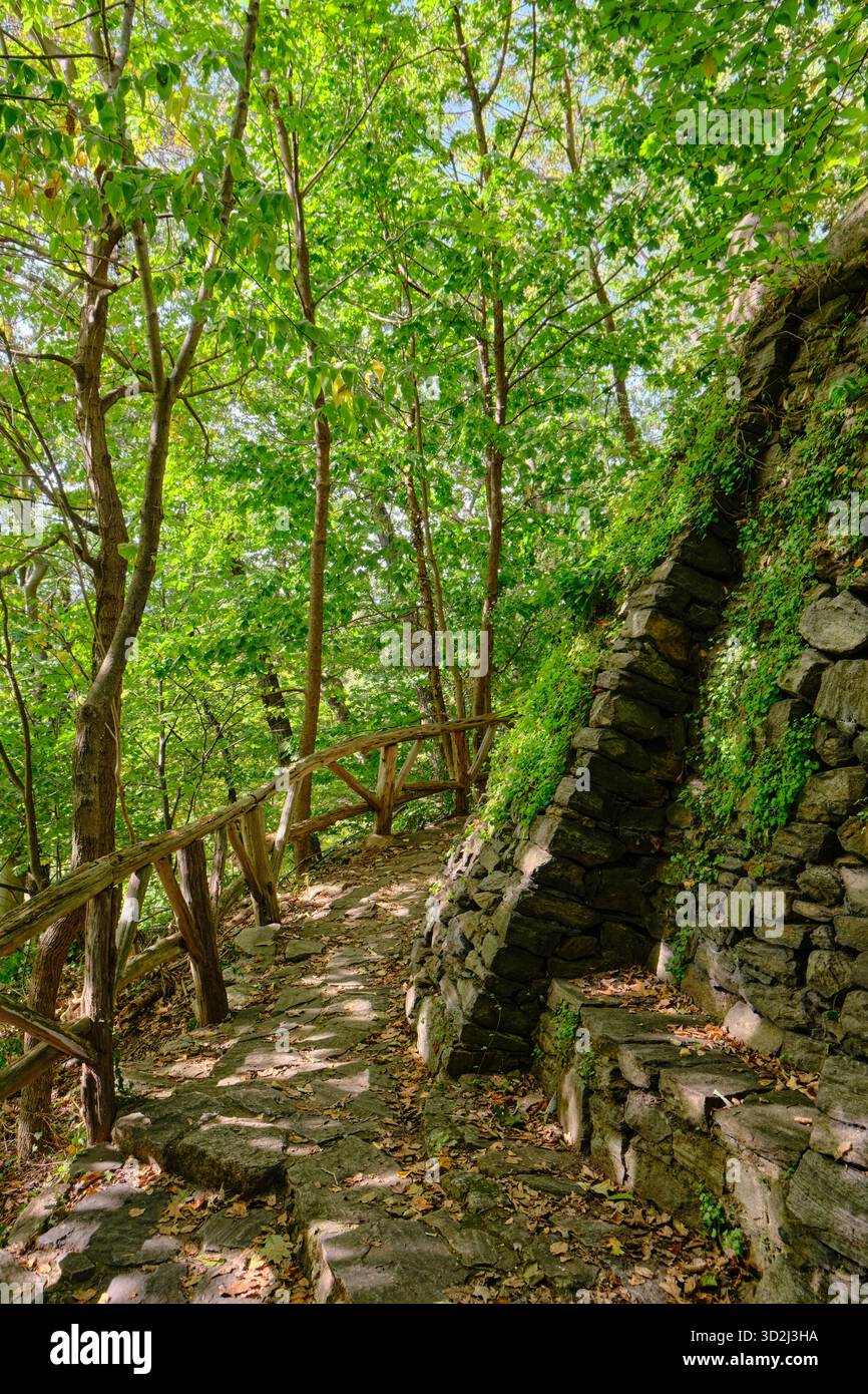 Forest rest area with a stone bench built into a low enclosure and a ...