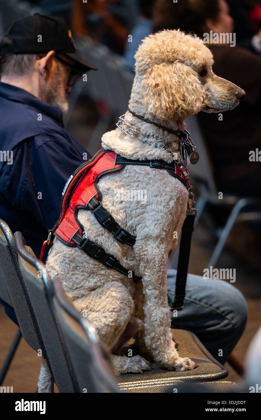 Seattle, USA. 1st Nov 2025. The two Dia De Muertos Day Of The Dead ...