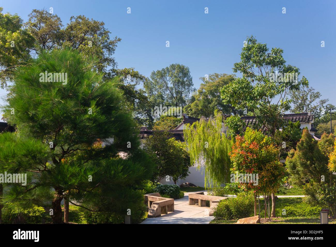 Suzhou-style landscaping design of beautiful trees and infrastructure ...