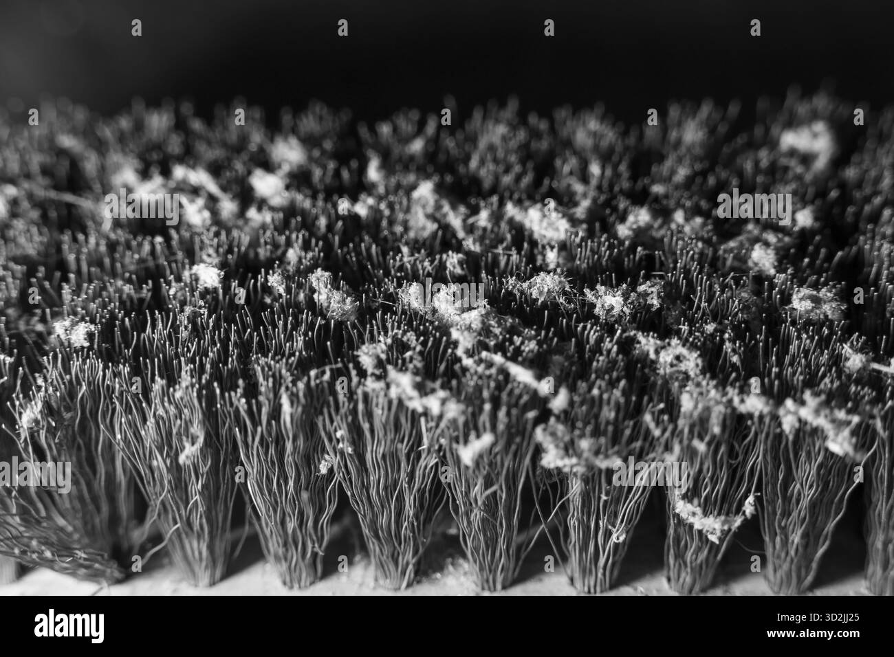 Stark visual contrast Black and White Stock Photos & Images - Alamy