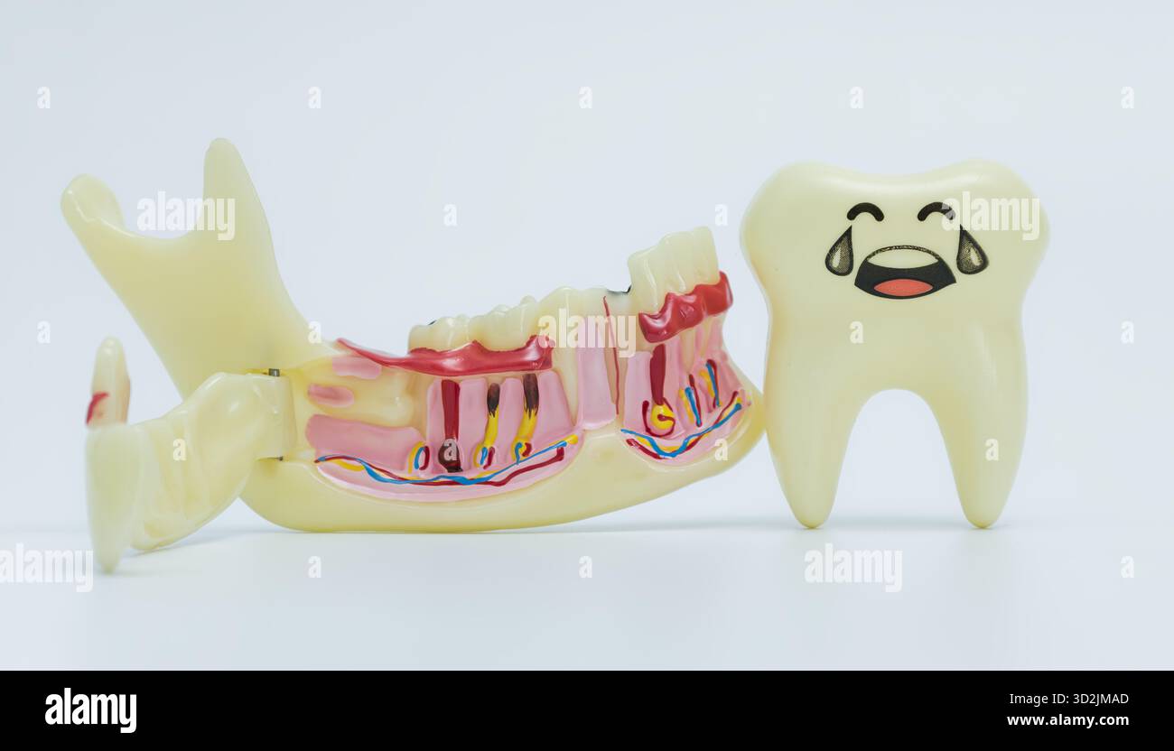 A crying cartoon tooth figure stands next to an anatomical jaw model ...