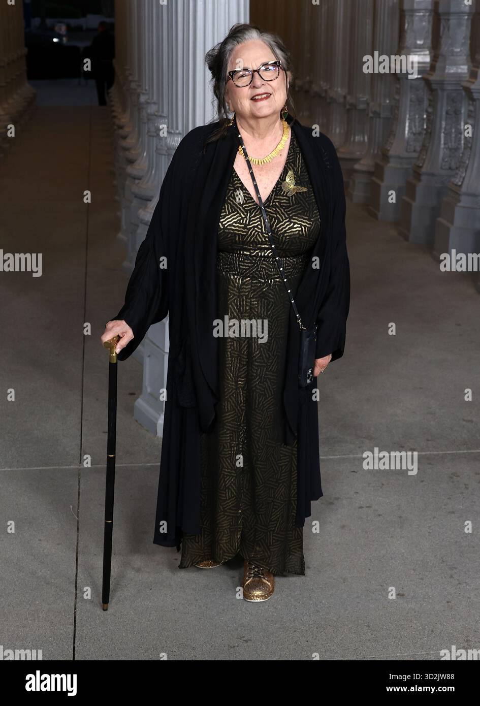 Judy Baca arrives at The 2025 LACMA Art+Film Gala held at LACMA in Los ...
