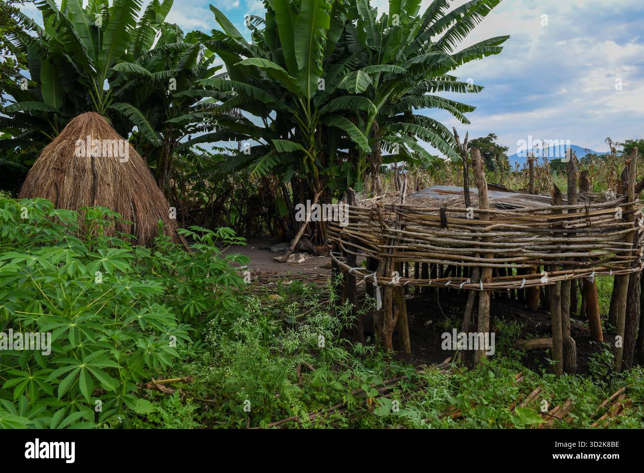 Kibish, Ethiopia - 12 August 2025: portrait of painted people of Suri ...