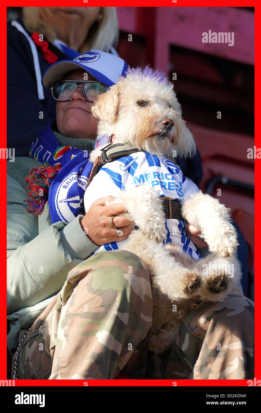 A Brighton & Hove Albion fan with a dog before the Barclays Women's ...