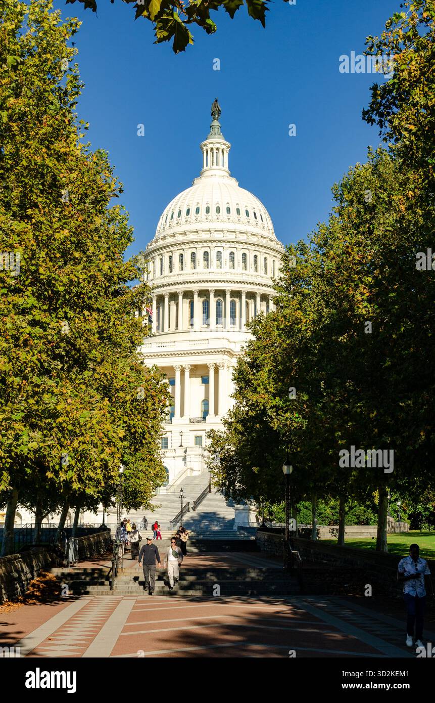 U.S. Capitol Building Framed by Trees Along Pedestrian Walkway in ...