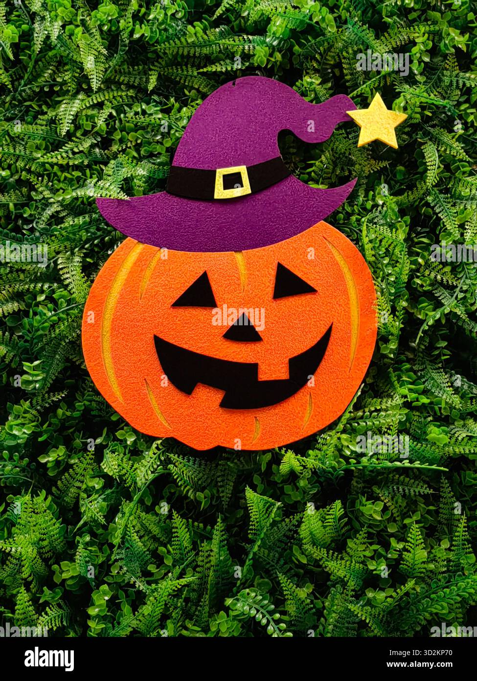 Pumpkin Charm. Green wall , background Stock Photo - Alamy